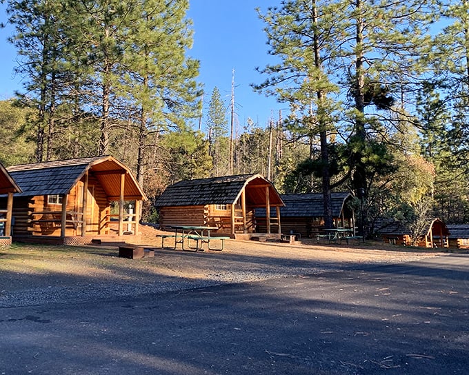 These rustic cabins at Yosemite Pines offer that perfect middle ground between roughing it and comfort – camping with actual walls.