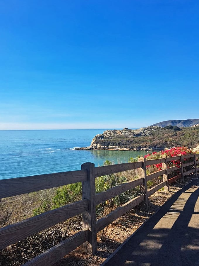 That wooden fence isn't just practical &ndash; it's nature's picture frame for one of California's most Instagram-worthy coastal views.