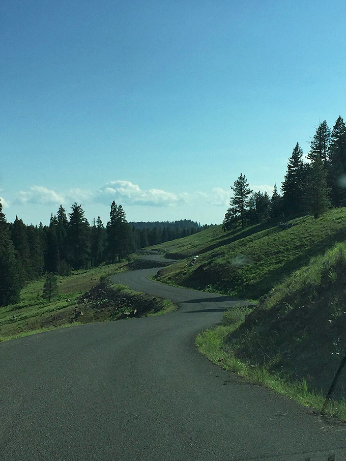 Winding through emerald meadows where the road becomes part of the natural artwork.