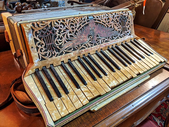 This ornate accordion isn't just an instrument; it's a portable party from another era, with intricate detailing that modern manufacturers wouldn't even attempt.