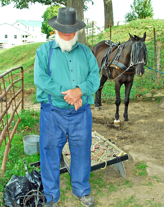 Weathered hands tell stories that words never could &ndash; this craftsman and his horse represent generations of wisdom passed down through daily practice.