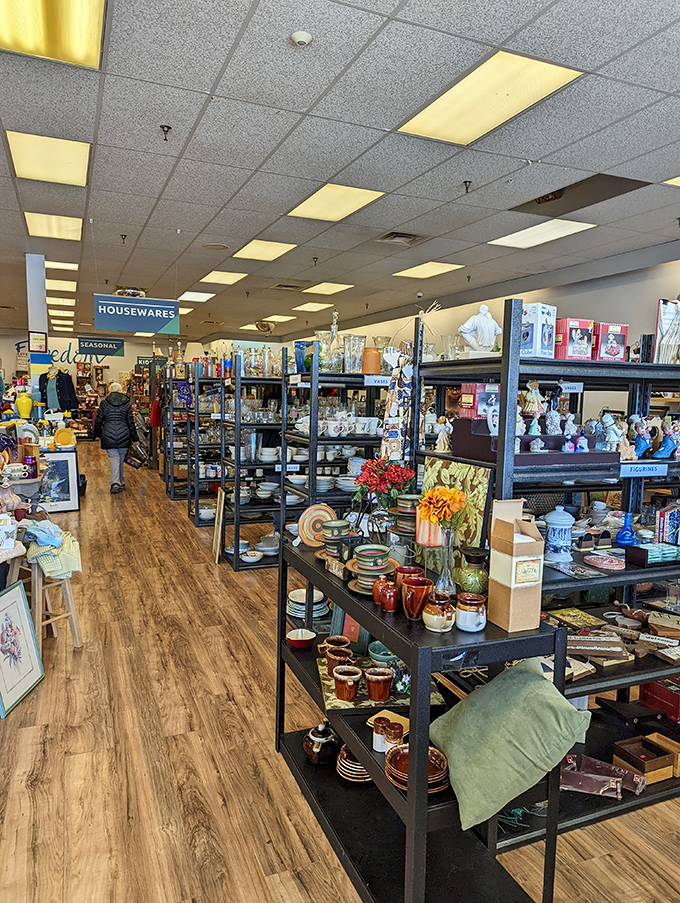 Housewares heaven—where that perfect serving platter you didn't know you needed patiently waits for your dinner party debut.
