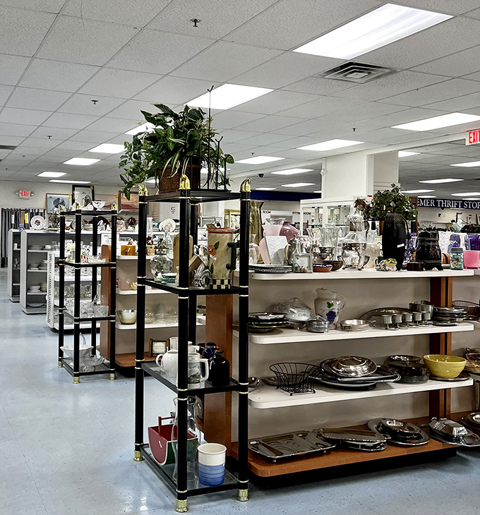 The furniture section sprawls endlessly, a suburban Narnia where that perfect armchair is definitely hiding somewhere in the back.