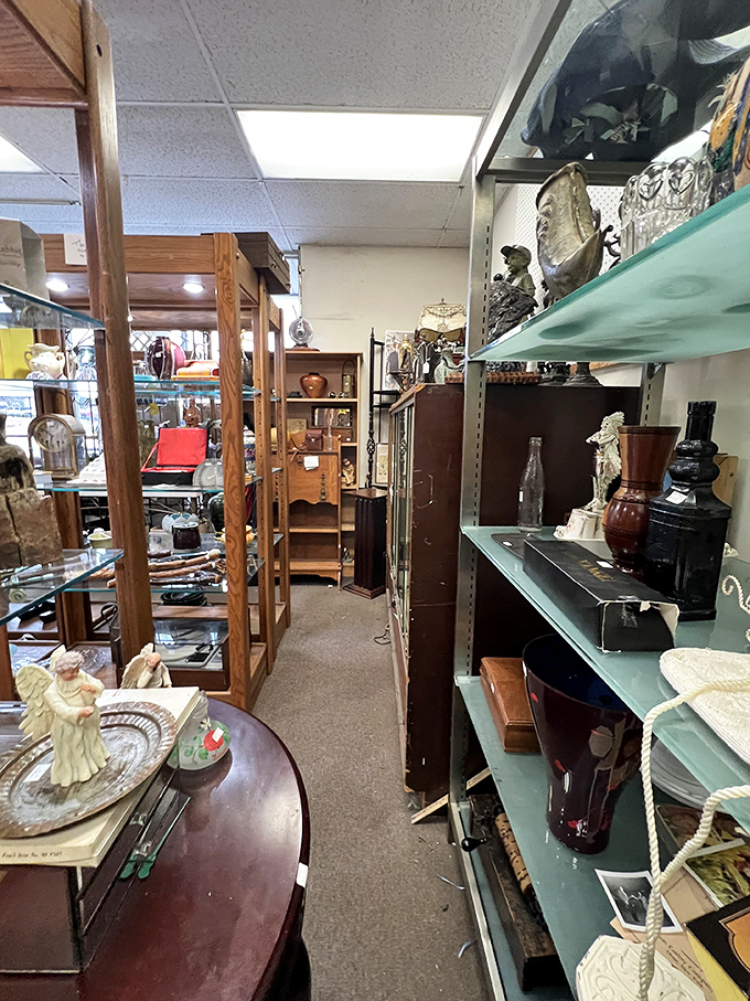 Glass cases protect delicate collectibles while showcasing them like museum pieces&mdash;except here, you can actually take them home.