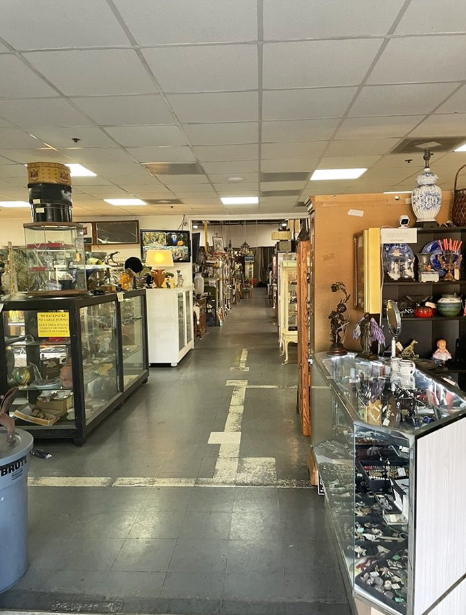 Floor-to-ceiling bookshelves create literary labyrinths where bibliophiles can disappear for hours of blissful browsing.