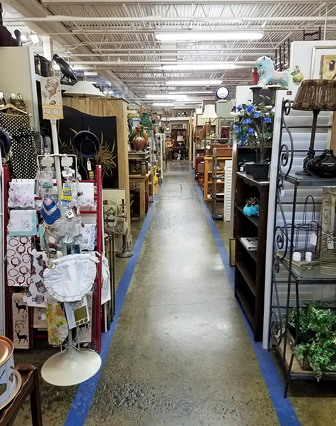 The soaring warehouse ceiling houses thousands of stories waiting to be discovered and taken home.
