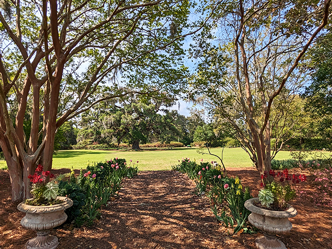 Garden pathways frame a view of the expansive lawn, where crepe myrtles stand like natural sculptures against Carolina's blue skies.