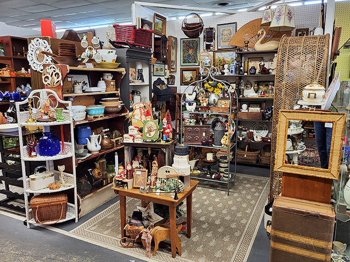 Organized chaos that somehow makes perfect sense—like your favorite aunt's house if she collected treasures from every decade since Roosevelt.