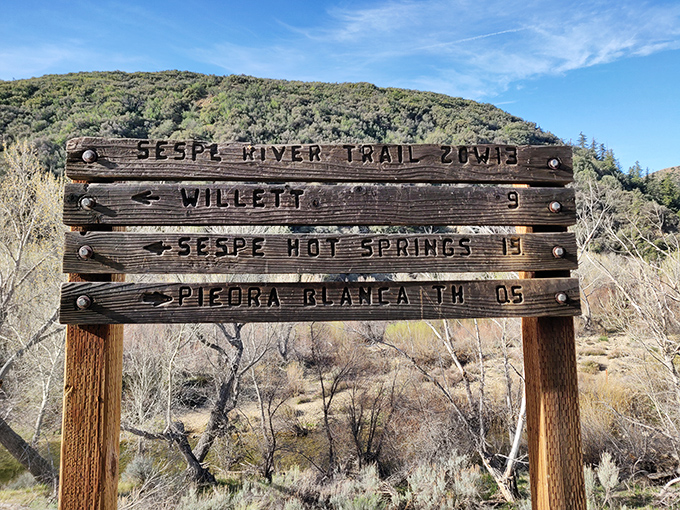 Decisions, decisions! This weathered signpost marks the crossroads of adventure, where each direction promises its own unique wilderness experience.