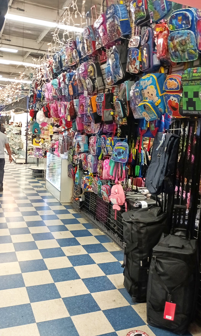 Colorful backpacks that would make any school hallway a runway. The perfect blend of function and "my kid has the coolest stuff" bragging rights.