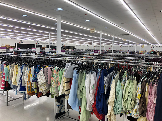 Clothing racks stretch toward the horizon like a textile Grand Canyon, organized by color for the visually-inclined treasure hunter.