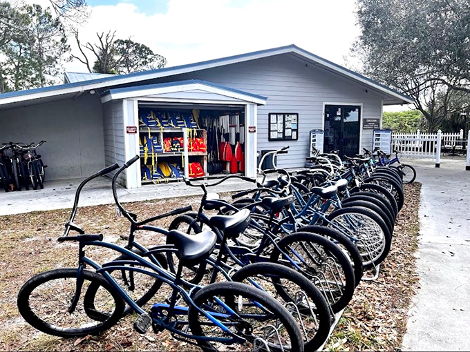 Two-wheeled freedom machines lined up and ready for action. These rental bikes are your ticket to exploring trails without wearing out your hiking boots.