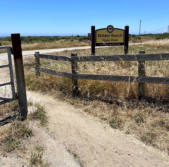 The park's entrance sign stands like a promise of adventure. That weathered wood has seen more perfect days than most Instagram influencers.