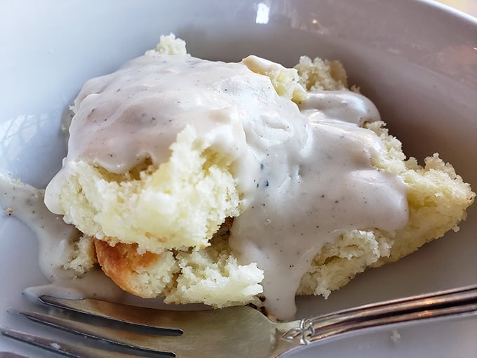 Biscuits so fluffy they could float away if not anchored by that velvety pepper milk gravy. Southern comfort in its purest form.