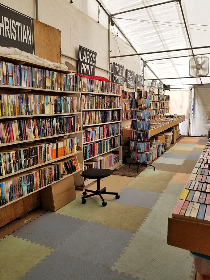 Book lovers can lose themselves for hours in these literary labyrinths, where the joy of accidental discovery trumps any online recommendation algorithm.