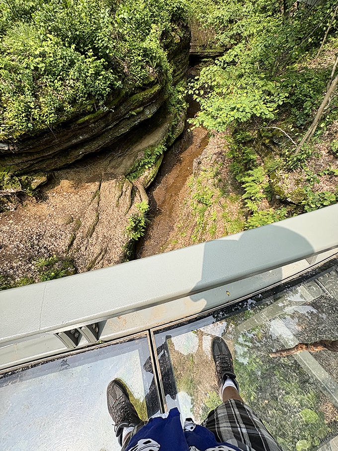 Vertigo, anyone? Standing on this glass bridge gives you that "walking on air" feeling while safely suspended above nature's dramatic rock garden below.