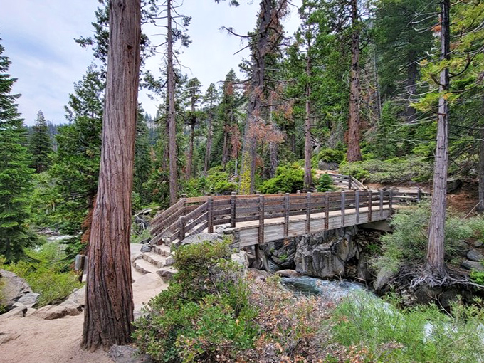 This bridge is basically nature's balcony seat, offering front-row views to the greatest water show on earth.