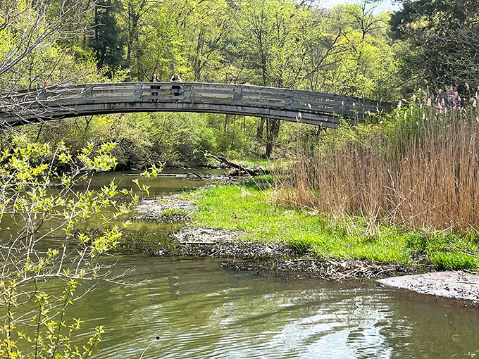 A bridge not too far. This rustic crossing looks like something straight out of a Robert Frost poem&mdash;minus the existential crisis.