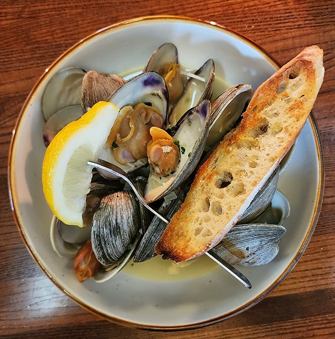 Fresh clams swimming in aromatic broth alongside crusty bread for the ultimate comfort food experience.