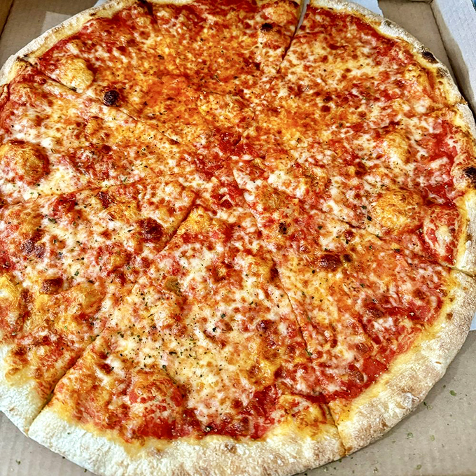 Cheese pizza so perfectly balanced it makes you question why you ever needed toppings. The holy trinity of crust, sauce, and cheese in perfect harmony. 