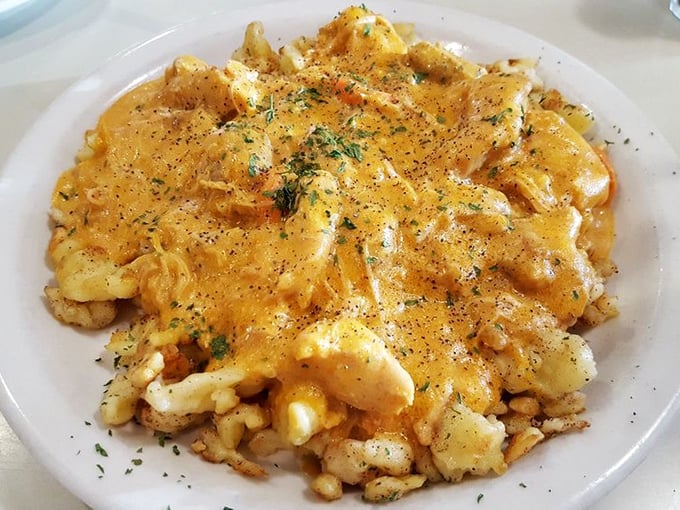 Golden chicken paprikash that would make your Hungarian grandmother weep tears of pure culinary pride.