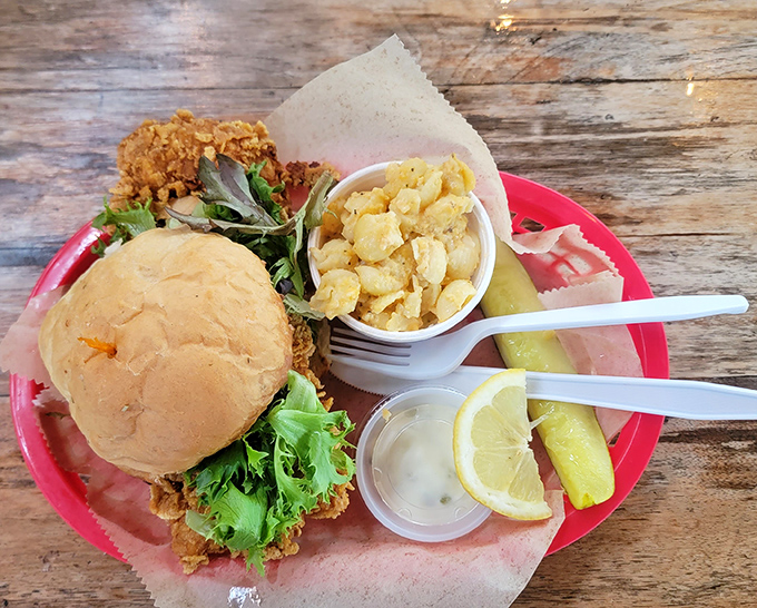 Fried chicken perfection meets potato salad in a plate that screams "comfort food" louder than your grandmother calling you for Sunday dinner.