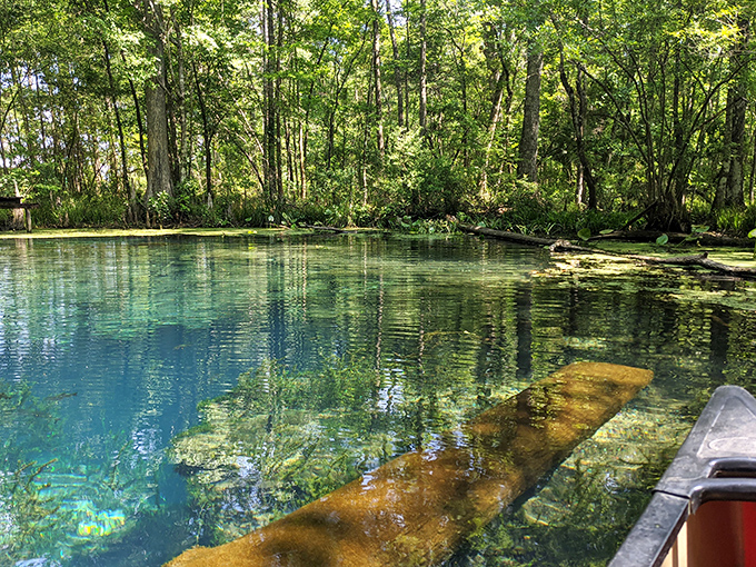 Mother Nature's high-definition display. The water clarity here makes your expensive TV look like an old black-and-white set from the '50s.