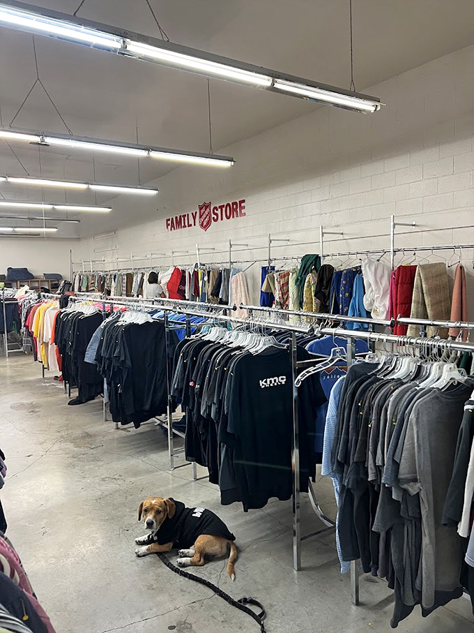 The men's department: where Silicon Valley casual meets Financial District formal, all at prices that'll make your wallet do a happy dance.