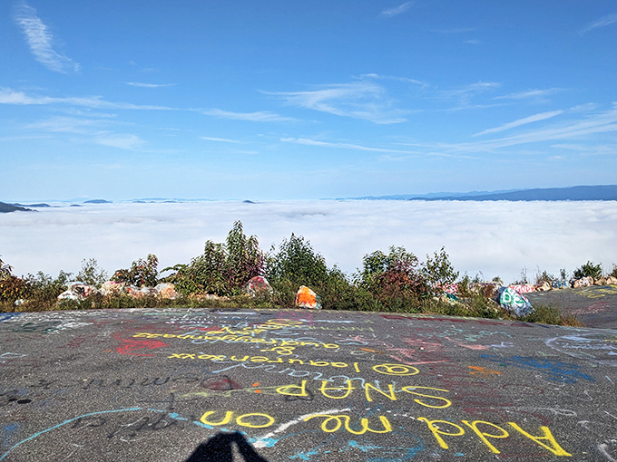 Cloud-watching elevated to an Olympic sport. On magical mornings, Bell Mountain visitors can stand above a sea of clouds, making everyone feel like they've discovered heaven's front porch.