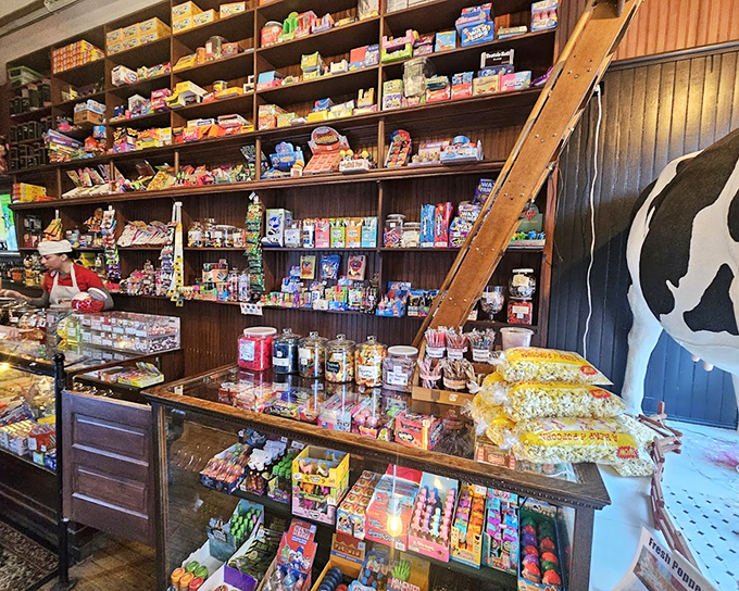 The candy counter stands ready for service, with the shop's bovine mascot keeping a watchful eye on the proceedings.