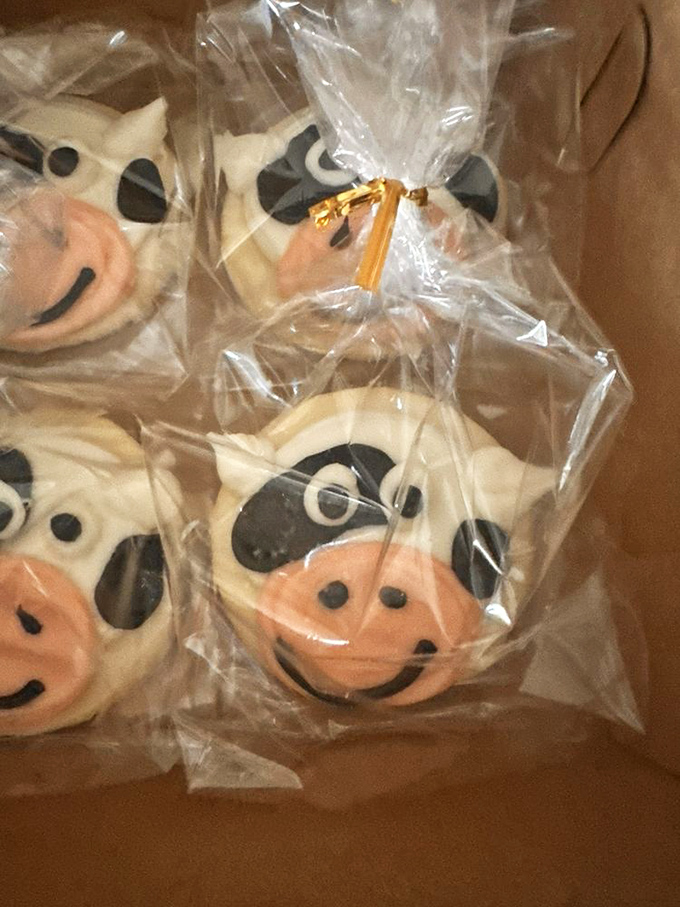 Whimsical cow cookies wrapped with care &ndash; proving that sometimes the most delightful treats come with a side of moo.