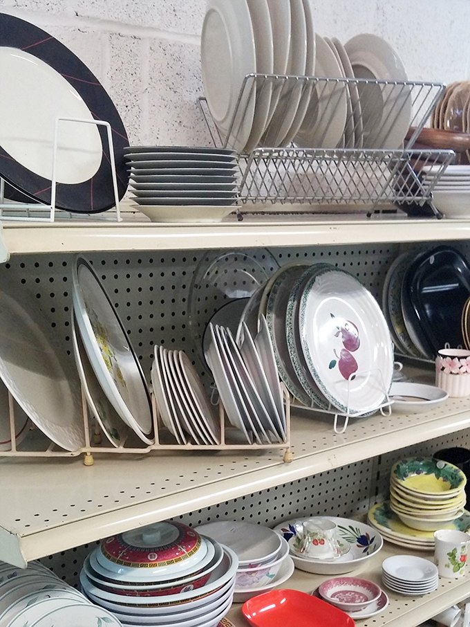 Dish-play of dreams! From floral patterns that whisper "Sunday dinner at Grandma's" to sleek modern pieces waiting for their Instagram moment.