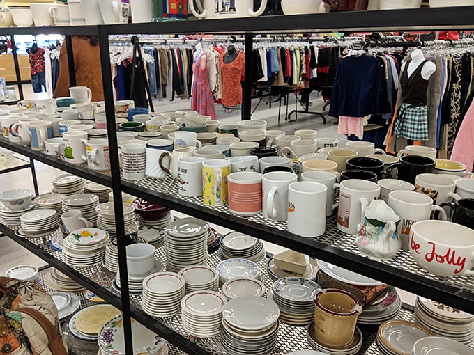 Mug collectors, brace yourselves! This dishware section could furnish three dinner parties with charmingly mismatched place settings that scream "intentional eclectic."