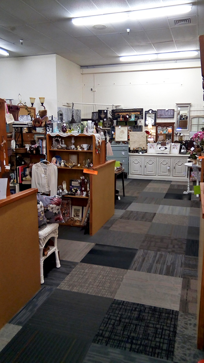 From vintage barrels to modern shelving, this organized chaos makes perfect sense once you start exploring.