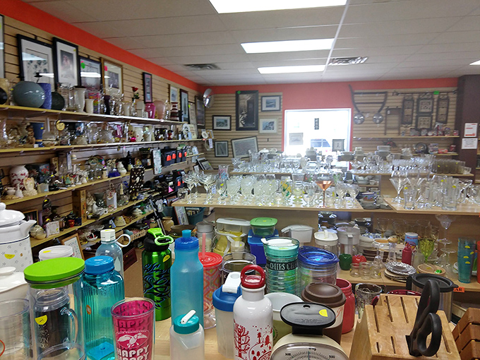 Shelves full of glassware, bottles, and home goods make New Life Thrift Shop a fun destination for bargain seekers daily.