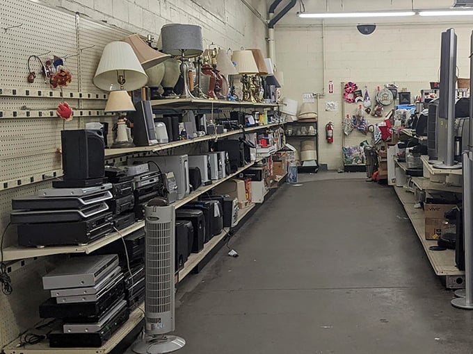 The electronics aisle: a retirement community for gadgets where yesterday's cutting-edge technology finds new purpose. That tower fan has stories to tell!