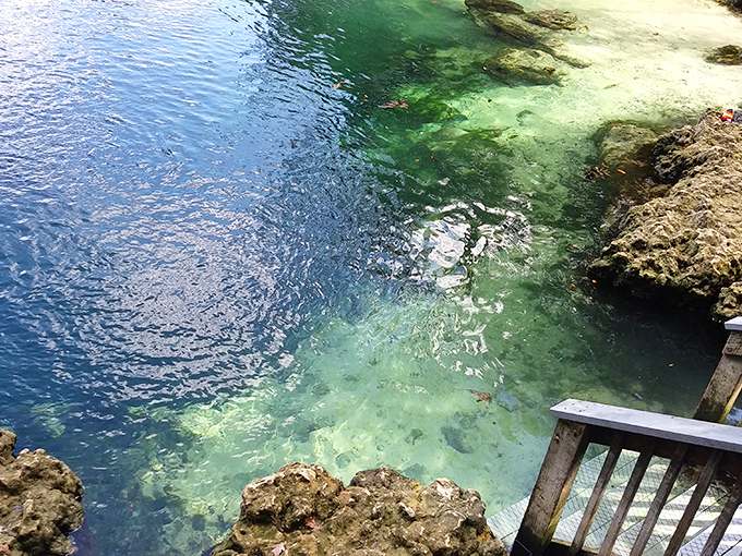 The emerald-turquoise waters reveal every detail below, like nature's version of high-definition TV, only you can swim in it. 