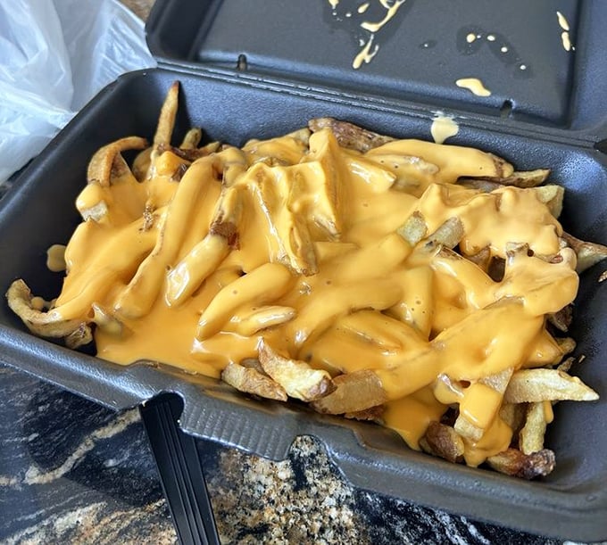 These cheese fries could make a cardiologist weep – tears of joy or concern, depending on their perspective.