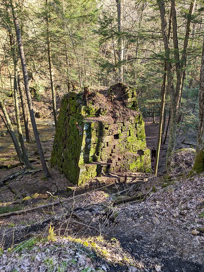 Industrial remnants stand as moss-covered monuments to the area's hardworking mining heritage.