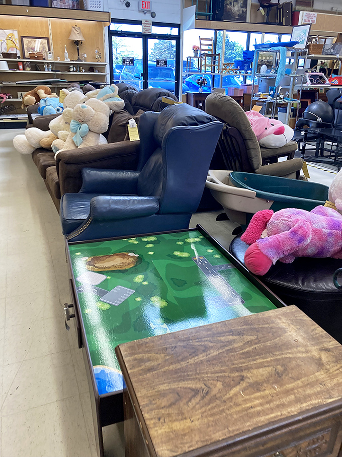 Furniture island: where sofas, chairs, and stuffed animals gather for their second chance at coziness. That blue armchair has stories to tell.