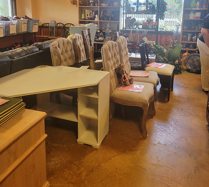 Elegant dining chairs and practical storage pieces coexist in perfect harmony. Yesterday's furniture becomes tomorrow's "where did you find that?" conversation starter.