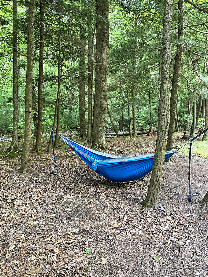 The unofficial Pennsylvania state nap station&mdash;a blue hammock suspended between ancient trees. Swaying gently while forest sounds replace your usual afternoon podcast.