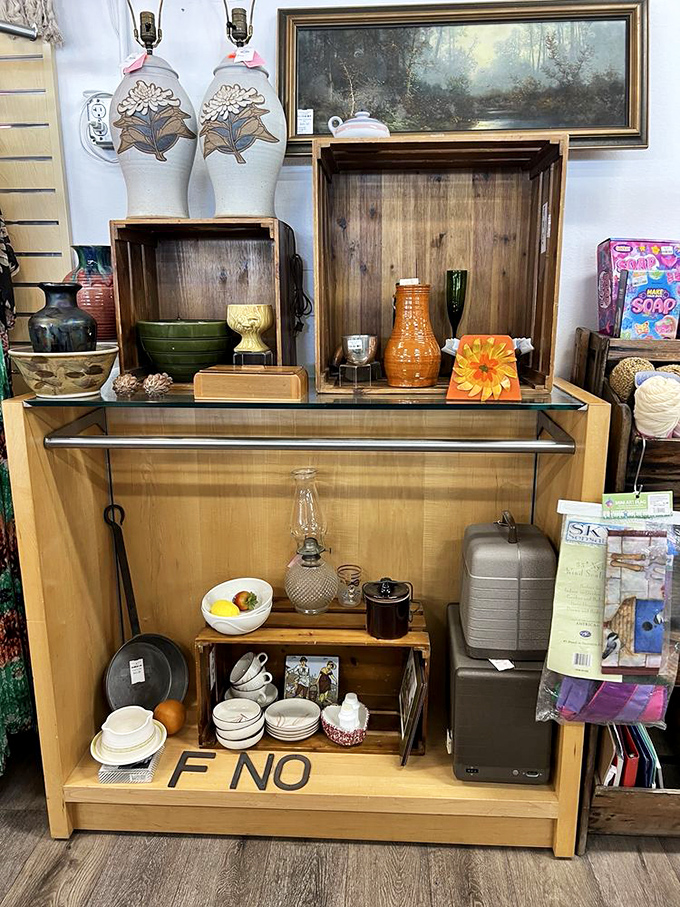 Home d&eacute;cor heaven where vintage ceramics, practical dishware, and quirky collectibles create the perfect hunting ground for interior design enthusiasts.