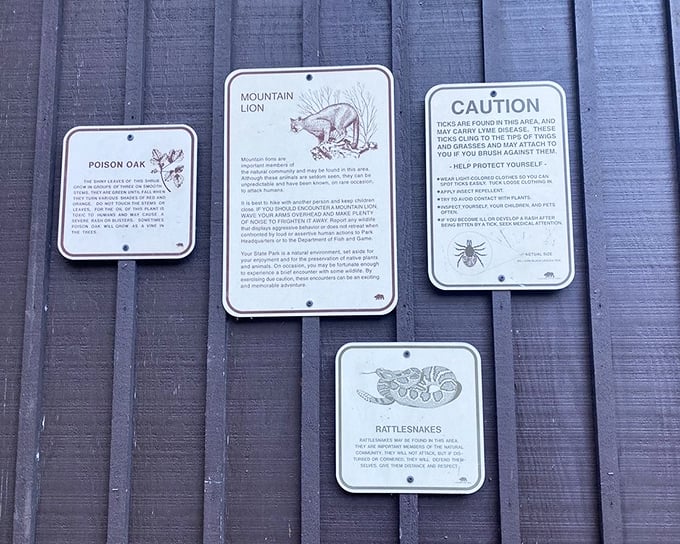 Nature's warning labels: a friendly reminder that you're visiting wildlife's home. Mountain lions don't care about your Instagram followers.