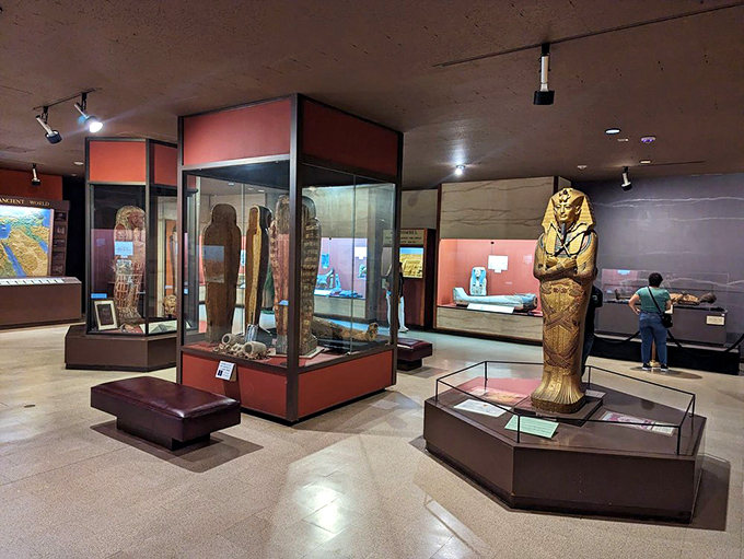 Gilded sarcophagi and ancient artifacts await in hushed galleries. That mummy might look peaceful now, but trust me&mdash;they've seen some things.