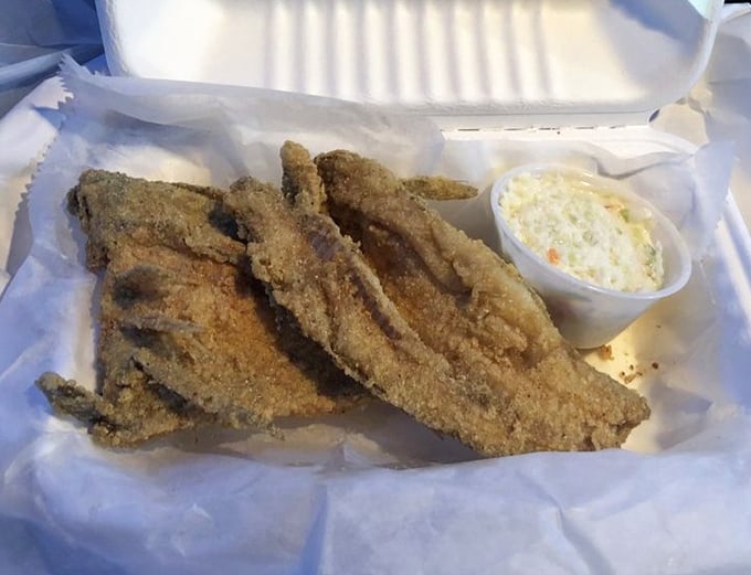 Lake trout with a golden coating so perfect, it practically demands its own photo shoot moment.