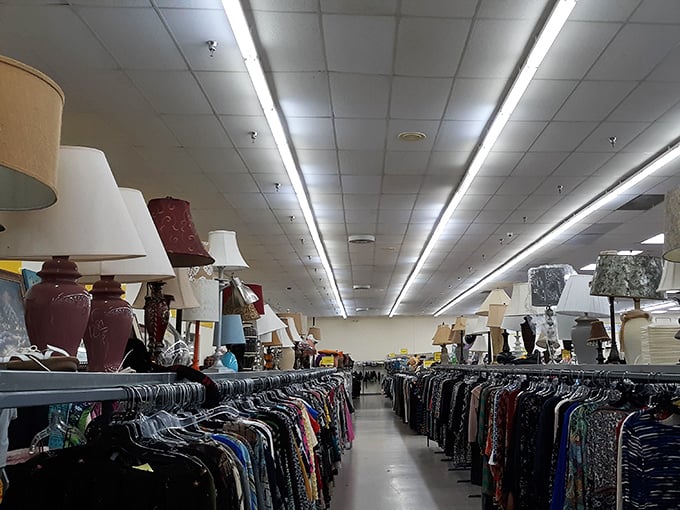 An army of lamps stands at attention, each one hoping to be the solution to your "why is it so dark in here?" household dilemma.