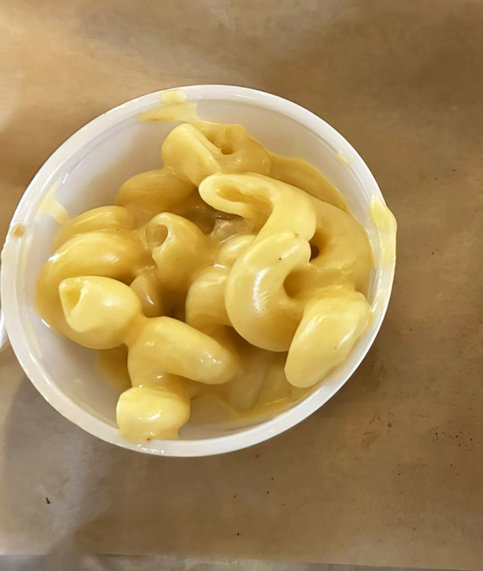Mac and cheese so creamy it should require a lifeguard on duty. This isn't just comfort food&mdash;it's a warm hug in a bowl.