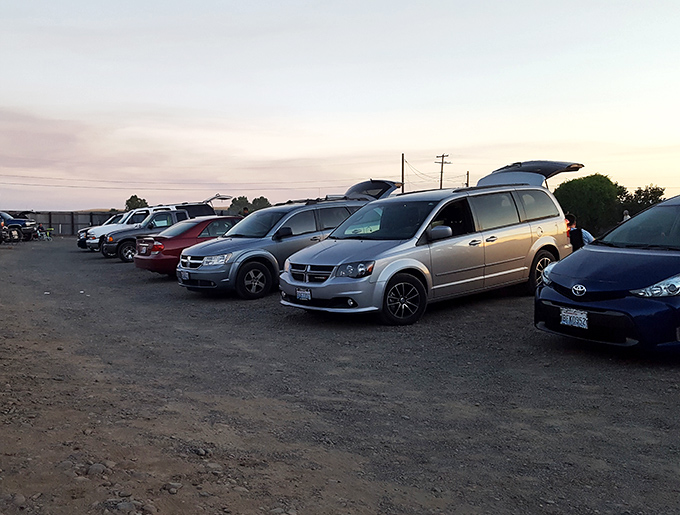 The modern drive-in parking lot: a democratic gathering of minivans, pickup trucks, and sedans united by the universal language of cinema.