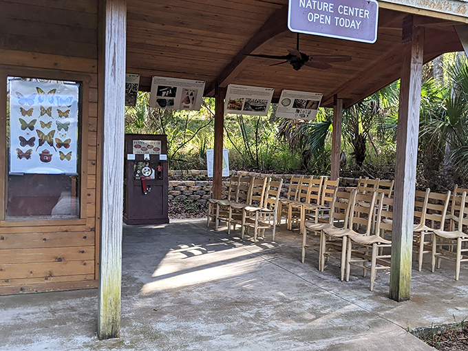 The nature center – where Florida's wild stories get told. Those wooden chairs have heard more fascinating tales than most Hollywood scriptwriters.